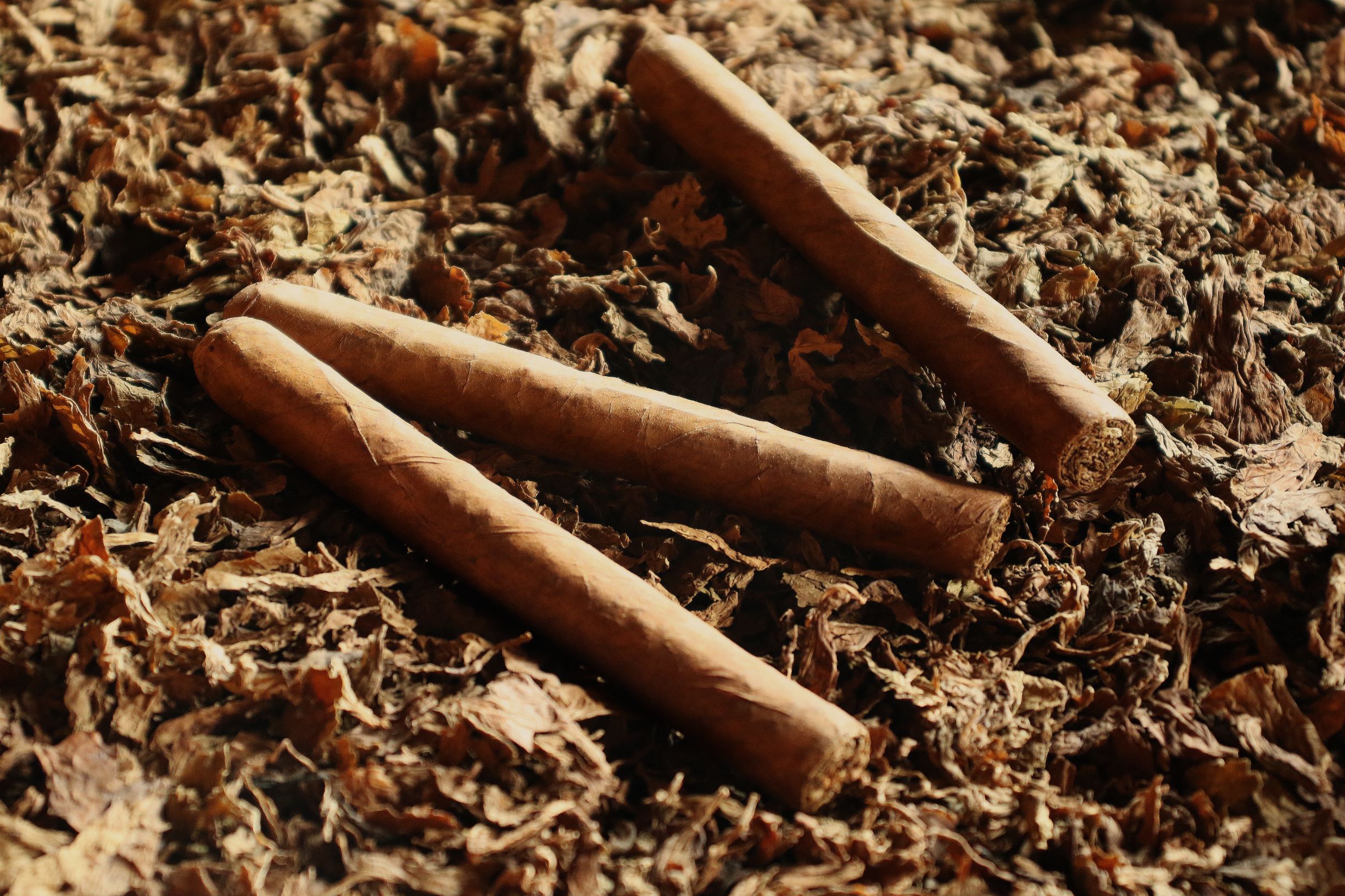 Factory Throwouts Cigars | Cigars Rolled in America | J.C. Newman Cigars